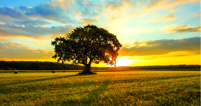 About Accepting Death – South Florida Health and Wellness Magazine